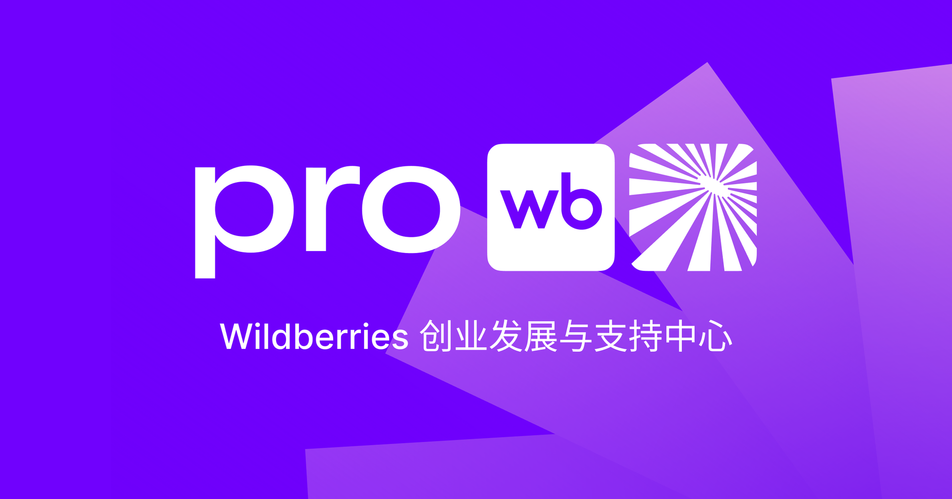 PRO Wildberries — 注册Wildberries并开始工作